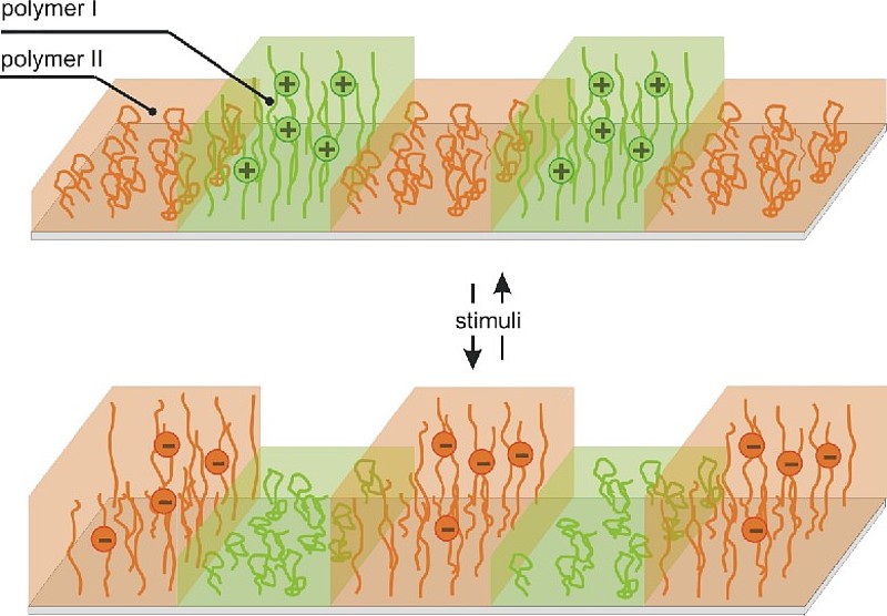 Modification and functionalization of interfaces | Leibniz Institute of ...
